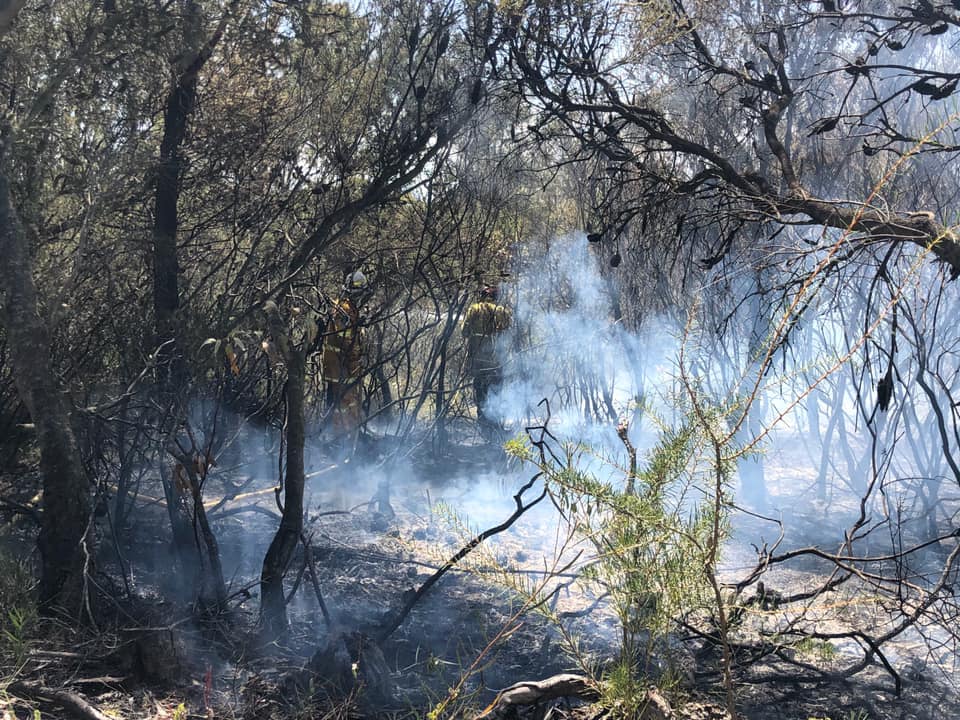 Madden’s Plain fire extinguished – Bulli & Clifton Times