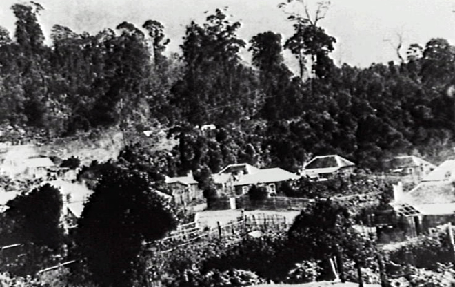 Looking Back history feature: Bushland reclaims Bulli’s lost ‘Pit Town ...