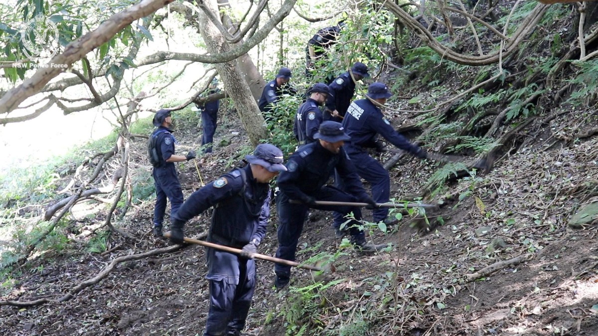 Renewed search for Pauline Sowry: 30 years later – Bulli & Clifton Times